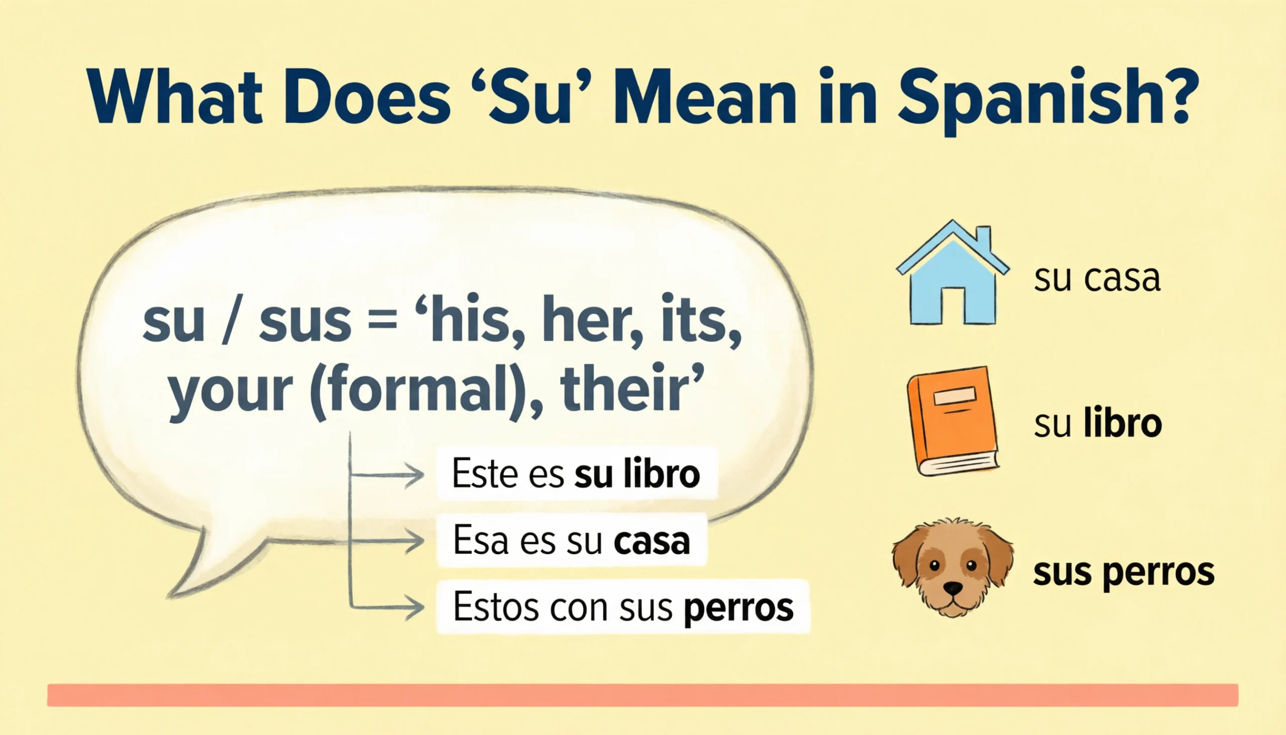 “SU” Mean in Spanish: Possessive Pronouns Made Easy in 2026